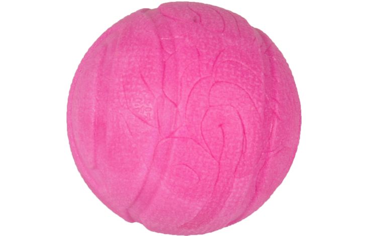 Toy Dina Ball with raspberry flavour | 518176 | Flamingo Pet Products