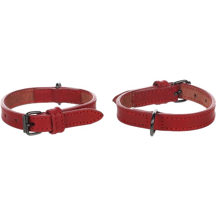 Halsband Denver Rood | 522892 | Flamingo Pet Products