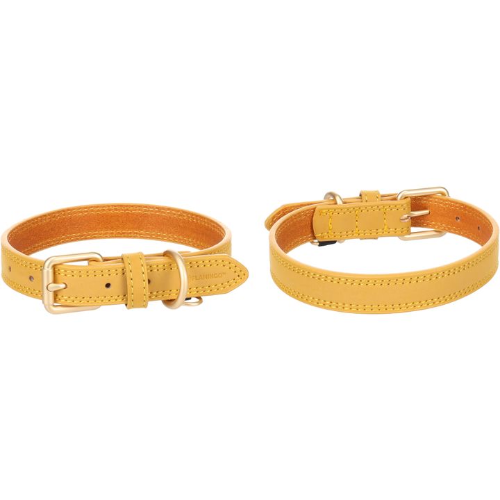 Collier Virginia Jaune | 523637 | Flamingo Pet Products