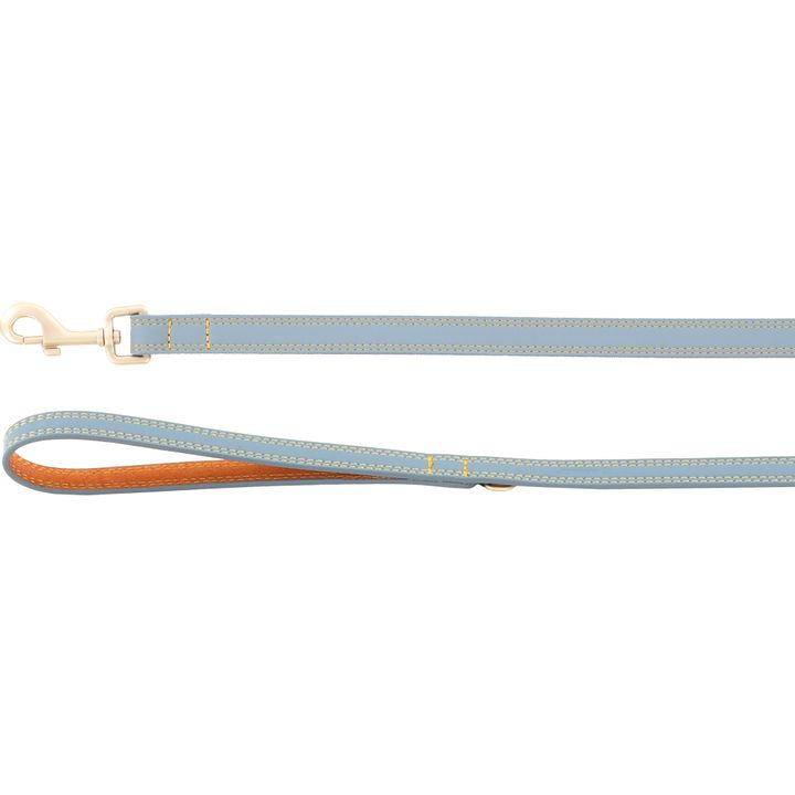 Leash Virginia Light blue | 523733 | Flamingo Pet Products