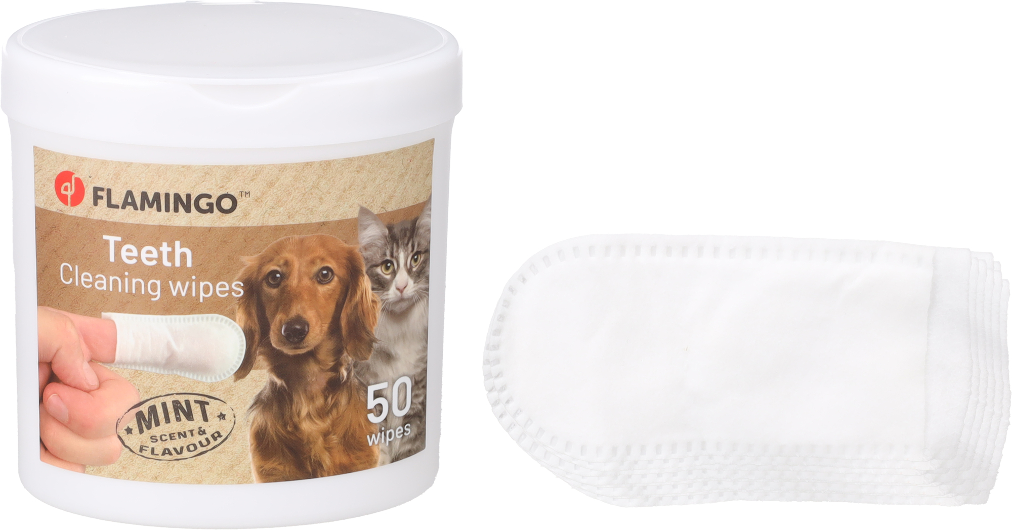 Cleaning wipe Reini for teeth mint finger Impregnated wipe | 524095 ...