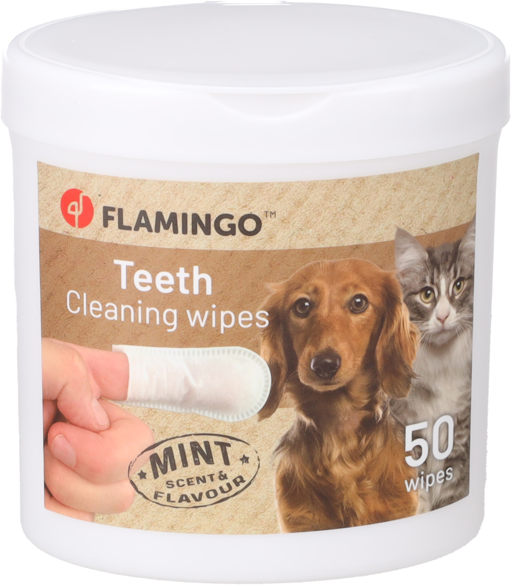 Cleaning wipe Reini for teeth mint finger Impregnated wipe | 524095 ...