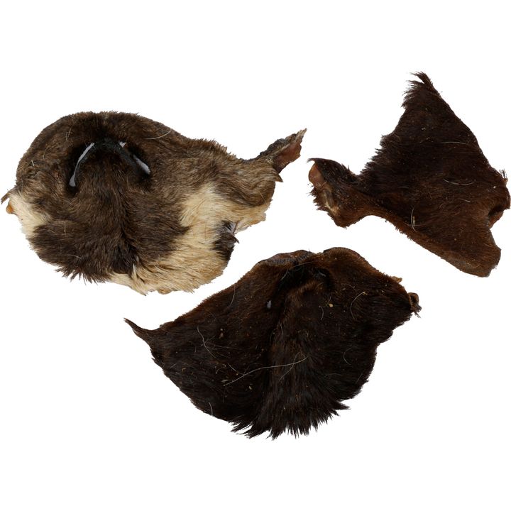 Snacks Nature Goat nose | 524798 | Flamingo Pet Products