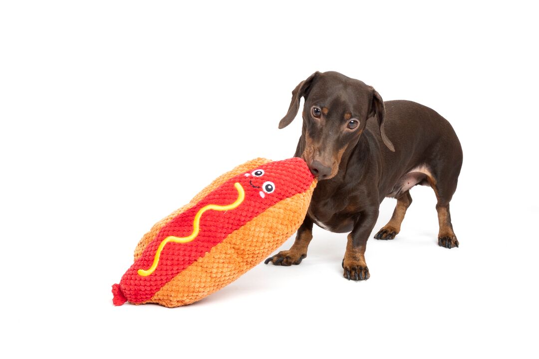 Speelgoed Fofa Baguette & Hotdog & Kippenbout Oranje | 525782 ...