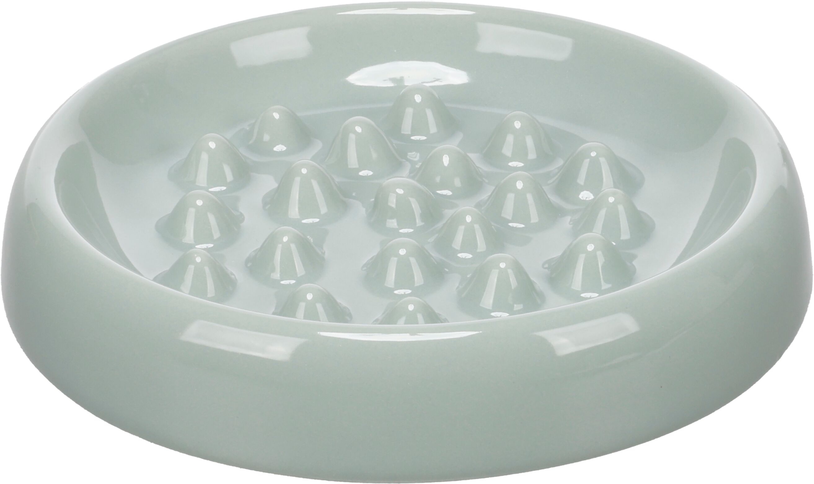 Futternapf Slow feeder Cena Rund Minzgrün | 526341 | Flamingo Pet Products