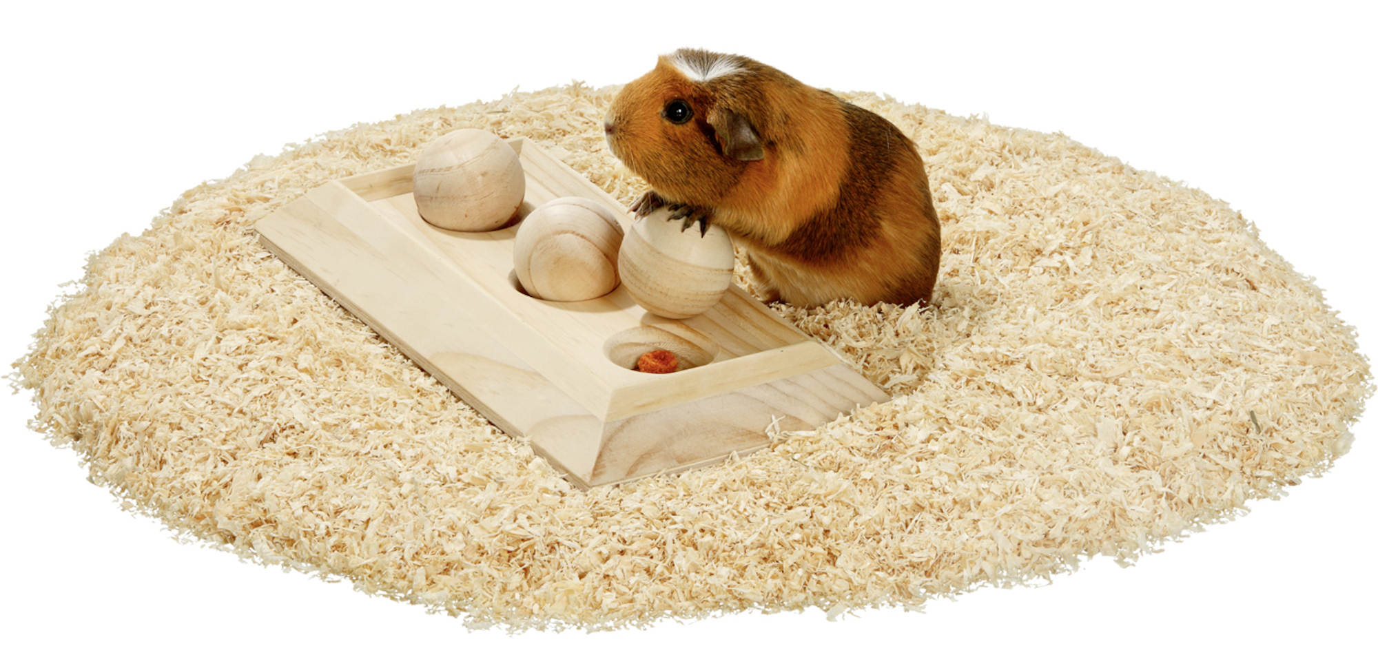 Speelgoed Brain train Rody met bal Lichtbruin | 5384342 | Flamingo Pet ...